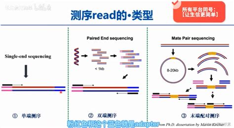 测序基本概念 Csdn博客