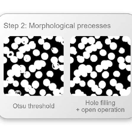 Schematic Diagram Of The RBC Segmentation Algorithm Step 1 Image