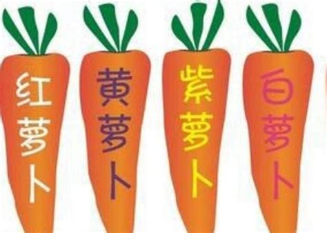 萝卜蹲怎么玩 360新知