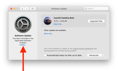 How To Opt Out Of MacOS Big Sur Catalina Beta Updates