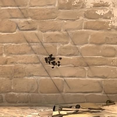 How To Control CS Recoil Easy Steps Royal Coders