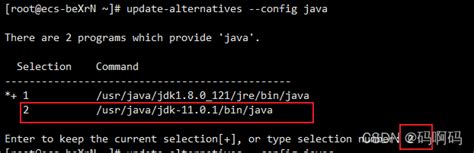 Centoslinux）安装两个jdk版本互相切换方法centos 俩jdk怎么用 Csdn博客