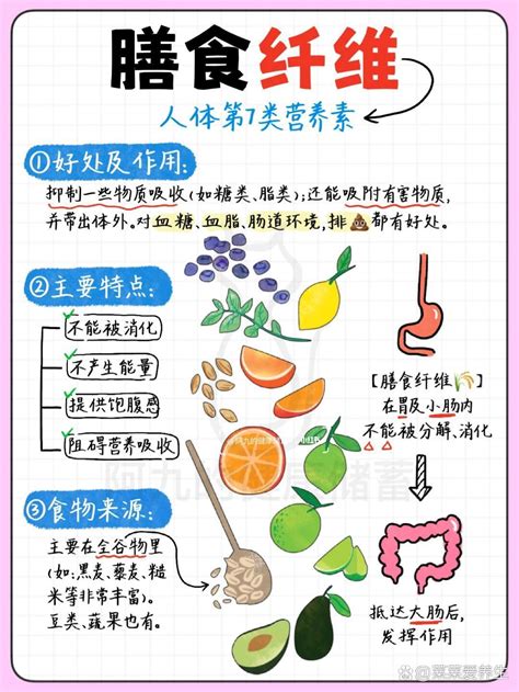 膳食纤维作为人体第7类营养素，