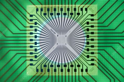 Micro Electrode Array Biochip Stock Image C0116870 Science Photo