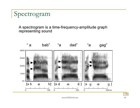 Phoneticsandphonology