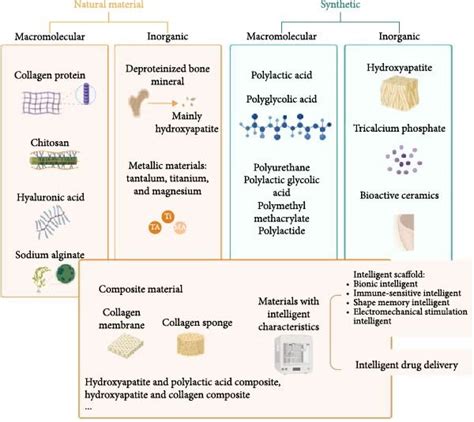 Bone Tissue Material Scaffold Degradable Materials Polylactic Acid Download Scientific