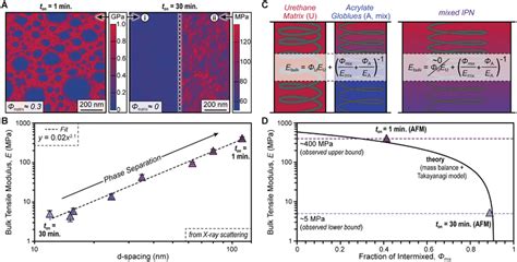 Predicting Bulk Tensile Modulus Ebulk Of Ipns By Correlating