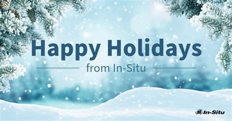 In Situ Process On Linkedin Happyholidays Happynewyear