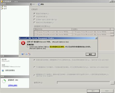 sql server数据库还原超出10g限制 sql数据库还原200g要多久 blueice的技术博客 51CTO博客