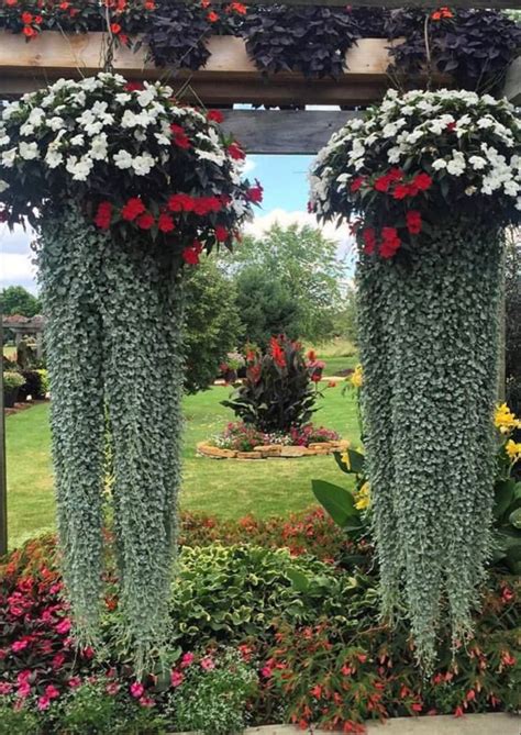 Amazing Flowers Hanging Plants Outdoor Hanging Garden Hanging Plants