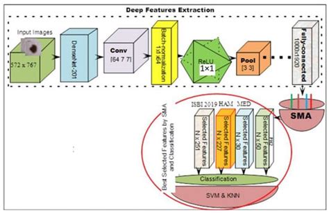 Mathematics Free Full Text Deeplabv3 Based Segmentation And Best Features Selection Using