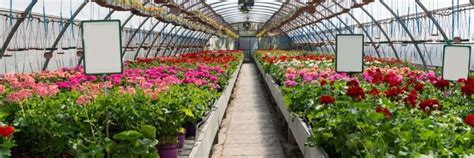 Toch Recht Op Tlto Vanwege Bijzondere Omstandigheid Lansigt