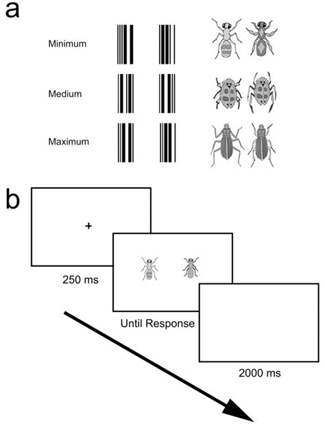 A Examples Of Barcode Left And Bug Right Stimuli Used In The