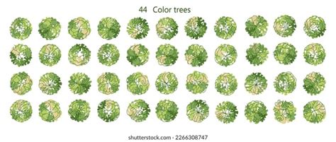7 Thousand Floor Plan Tree Royalty Free Images Stock Photos Pictures Shutterstock