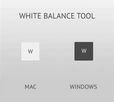 20 Lightroom Keyboard Shortcuts Every Photographer Needs To Know