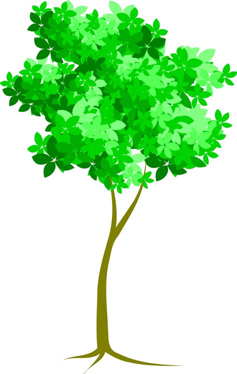 Tree Png Forest 16583571 PNG