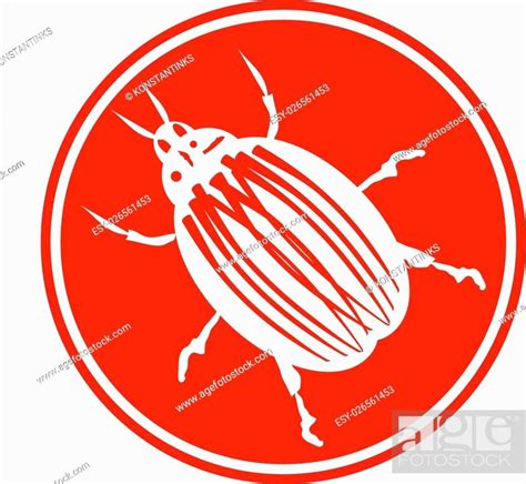 Bug Button On White Background Vector Illustration Stock Vector Vector And Low Budget Royalty