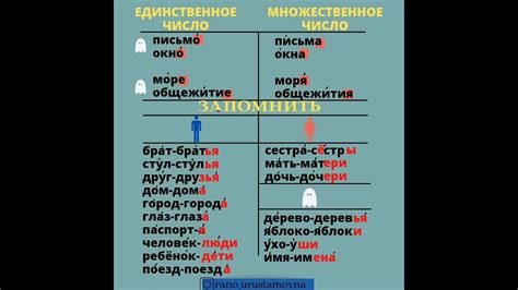 2 урок Единственное и множественное числа существительных Youtube