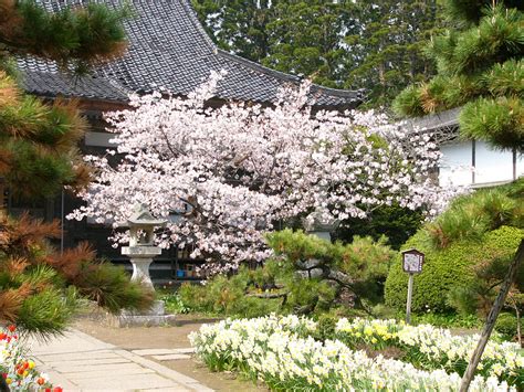 スポット情報一覧 松前町公式観光サイト
