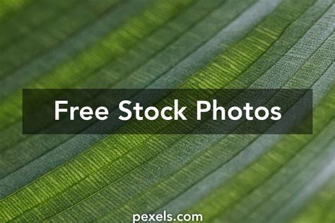 Ribbed Texture Photos Download The Best Free Ribbed Texture Stock