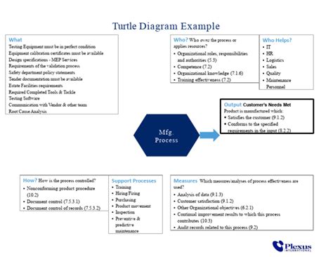 Turtle Diagram Template Download Plexus International 2022 1 098 2