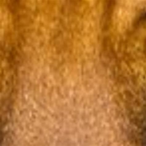 Zichen Feng Zhengzhou University Zhengzhou Zzu School Of Public Health Research Profile