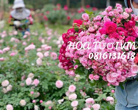 Long Hung Store Long Hung Store Added A New Photo