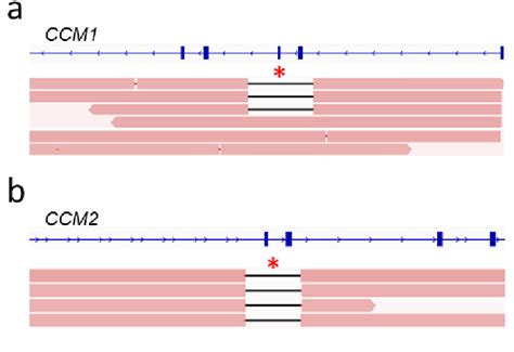 Figure 6 From Cas9 Mediated Nanopore Sequencing Enables Precise Characterization Of Structural