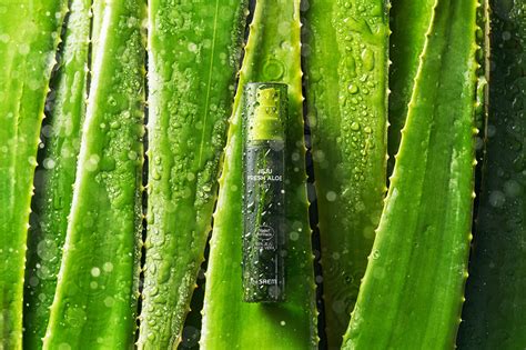 Таны бизнес модель Ахлах ангийн сурагчдад бизнес санхүүгийн сургалт явуулах сургагч багш