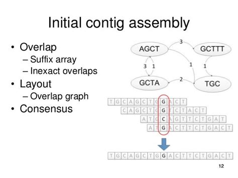 Combining De Bruijn Graph Overlap Graph And Microassembly For De Nov
