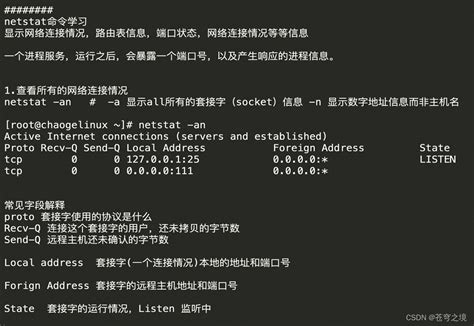 Netstat命令解释 Csdn博客