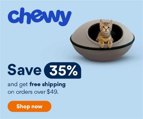 How Much Space Does A Cat Need Feline Necessities Explained Catster