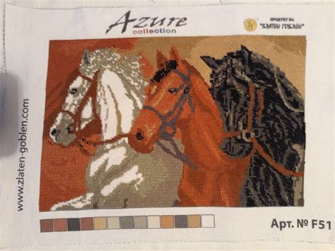 Диамантени гоблени 10 лв Диамантен гоблен 30х40 см Частично