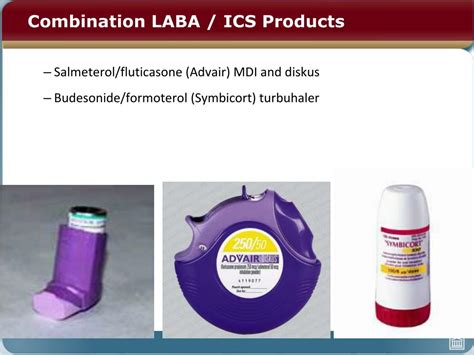 Ppt Back To Basics Review Respirology In Under Two Hours Powerpoint Presentation Id 3299186