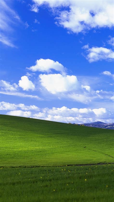 Windows Xp Screensaver