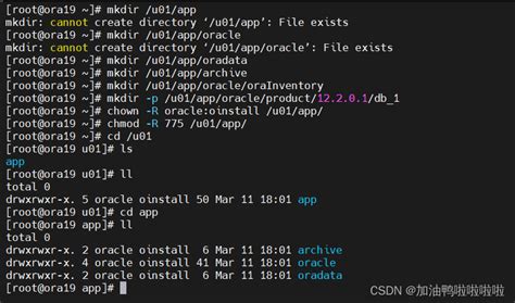 手把手教使用静默 搭建oracle 19c 一主一备adg集群oracle19c Ha集群 Csdn博客