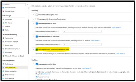Permanent Delete Of Soft Deleted Snapshot And Versions Without Disabling Soft Delete Option