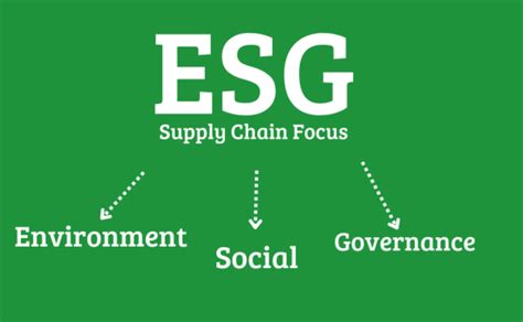 Quest Ce Que Lesg Focus Sur La Supply Chain