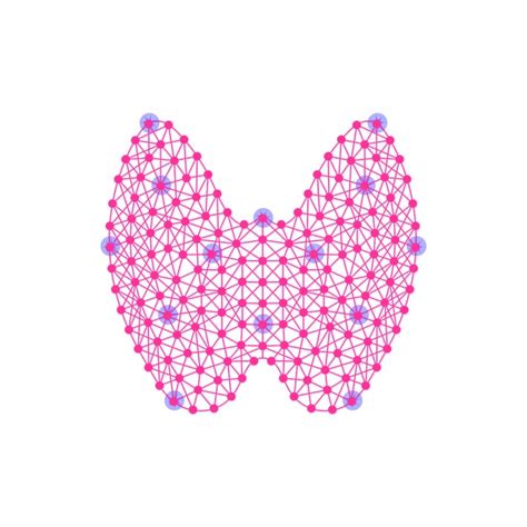 Билкова програма на Хербалкан при проблеми с щитовидната жлеза