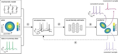 Illuminating The Dark Parameter Space Of Neuroscience Modeling