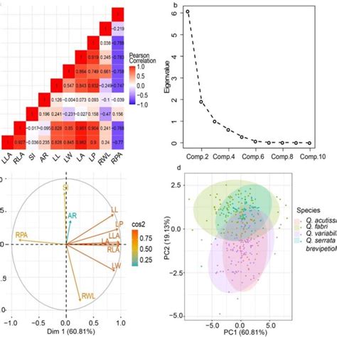 Hierarchical Clustering Of Leaf Phenotypic Traits For The Four Oak