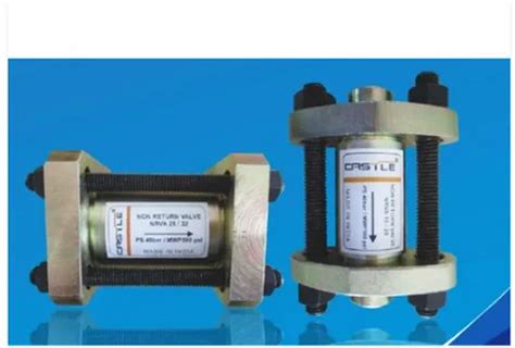 High Pressure Inline Check Valve For Industrial Valve Size 3 8 Inch At ₹ 3000 Piece In Ahmedabad