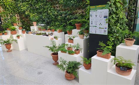 국립세종수목원 자생정원식물 특별전시 개최 세종의소리