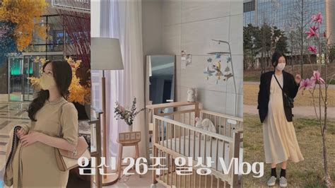 Vlog 26주 쌍둥이 임산부 일상👼🏻베이비샤워 아기모빌소피텔 애프터눈티입체초음파돈탐구소 오마카세 등 Youtube