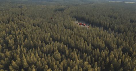 Apex Powered On Linkedin Apexcore Is A Revolutionary Polymorphic