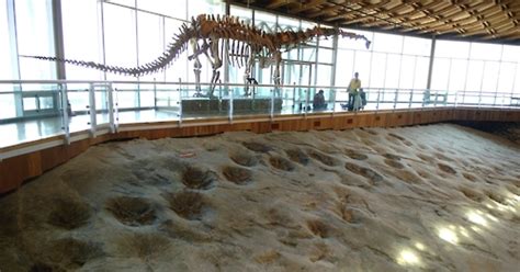 해남군 우항리공룡화석지 소재 애니메이션 만든다