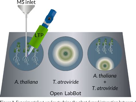 Figure 1 From In Vivo Low Temperature Plasma Ionization Mass