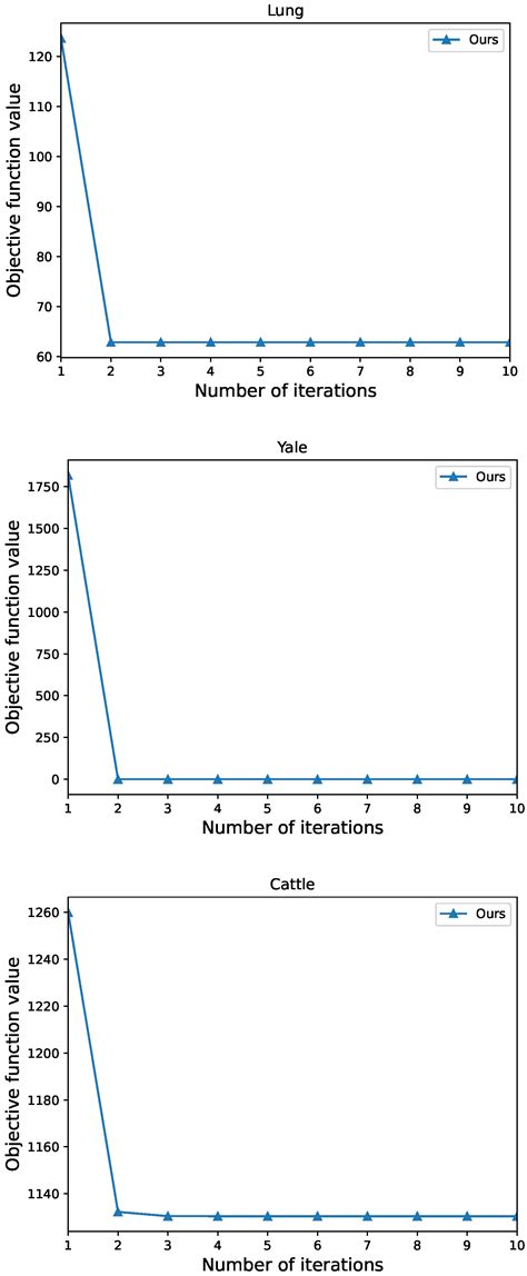 Information Free Full Text An Instance And Label Based Feature