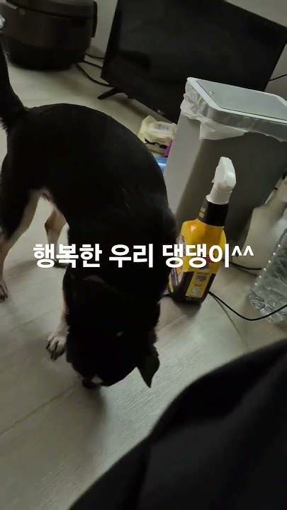 영상이 짧아서 올립니다 Youtube