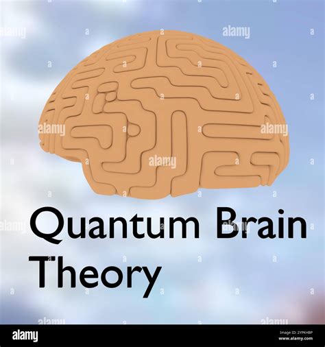 3d Illustration Of A Human Brain Titled Quantum Brain Theory Stock